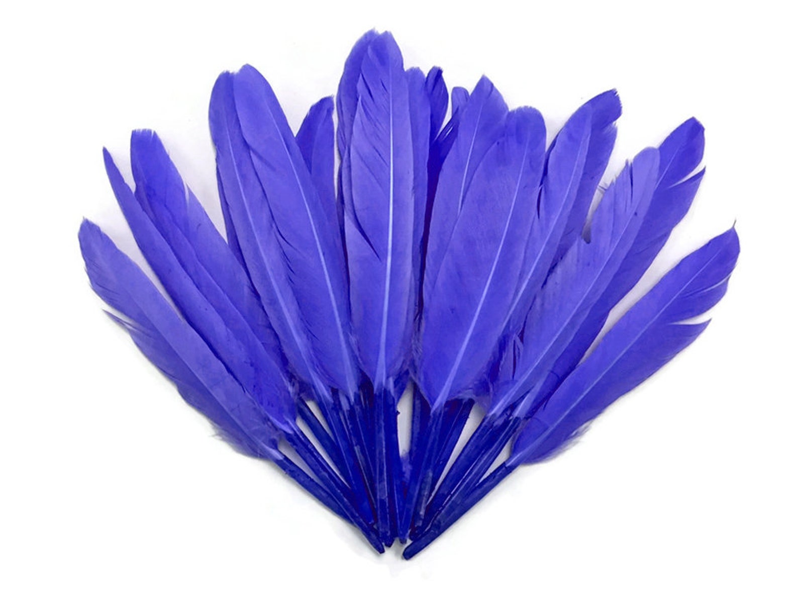 Duck Feathers 500 Pieces Lilac Sky Blue Duck Cochettes | Etsy