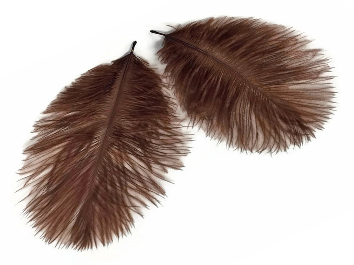 Mini Feathers 1 Pack Brown Ostrich Small Confetti Feathers - Etsy