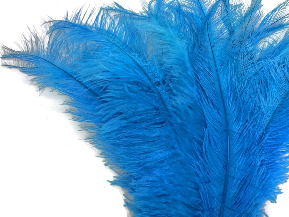 Ostrich Feathers, 10 Pieces - 20-28" Turquoise Blue Ostrich Feather ...