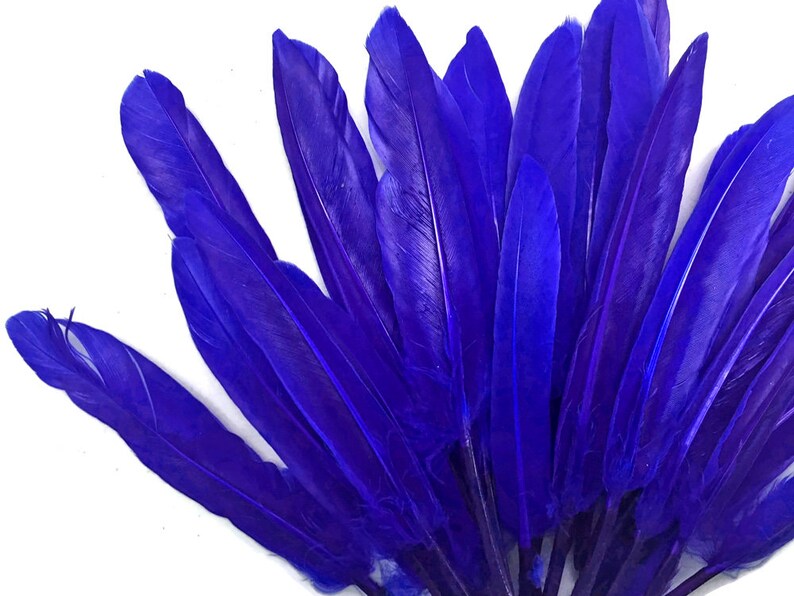 Duck Feathers, 500 Pieces - Royal Blue Duck Cochettes Wholesale Loose ...
