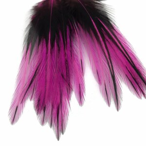 Fuchsia Laced Pointy Feathers, 10 Pieces - Hot Pink Dyed BLW Laced ...