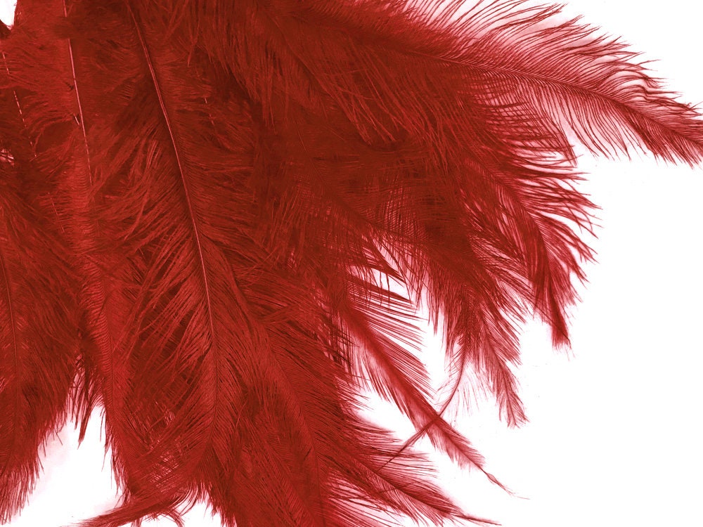 20 Pieces - 12-18" Red Mini Ostrich Spads Chick Body Feathers Halloween ...