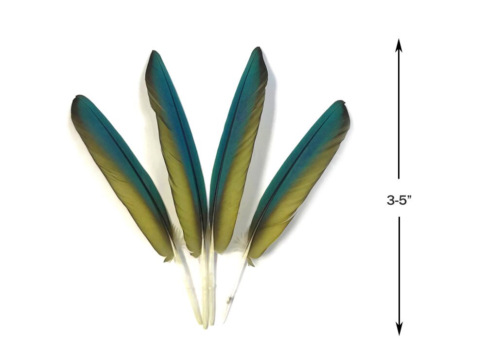 Rare Feathers 4 Pieces Iridescent Green and Yellow - Etsy Sweden