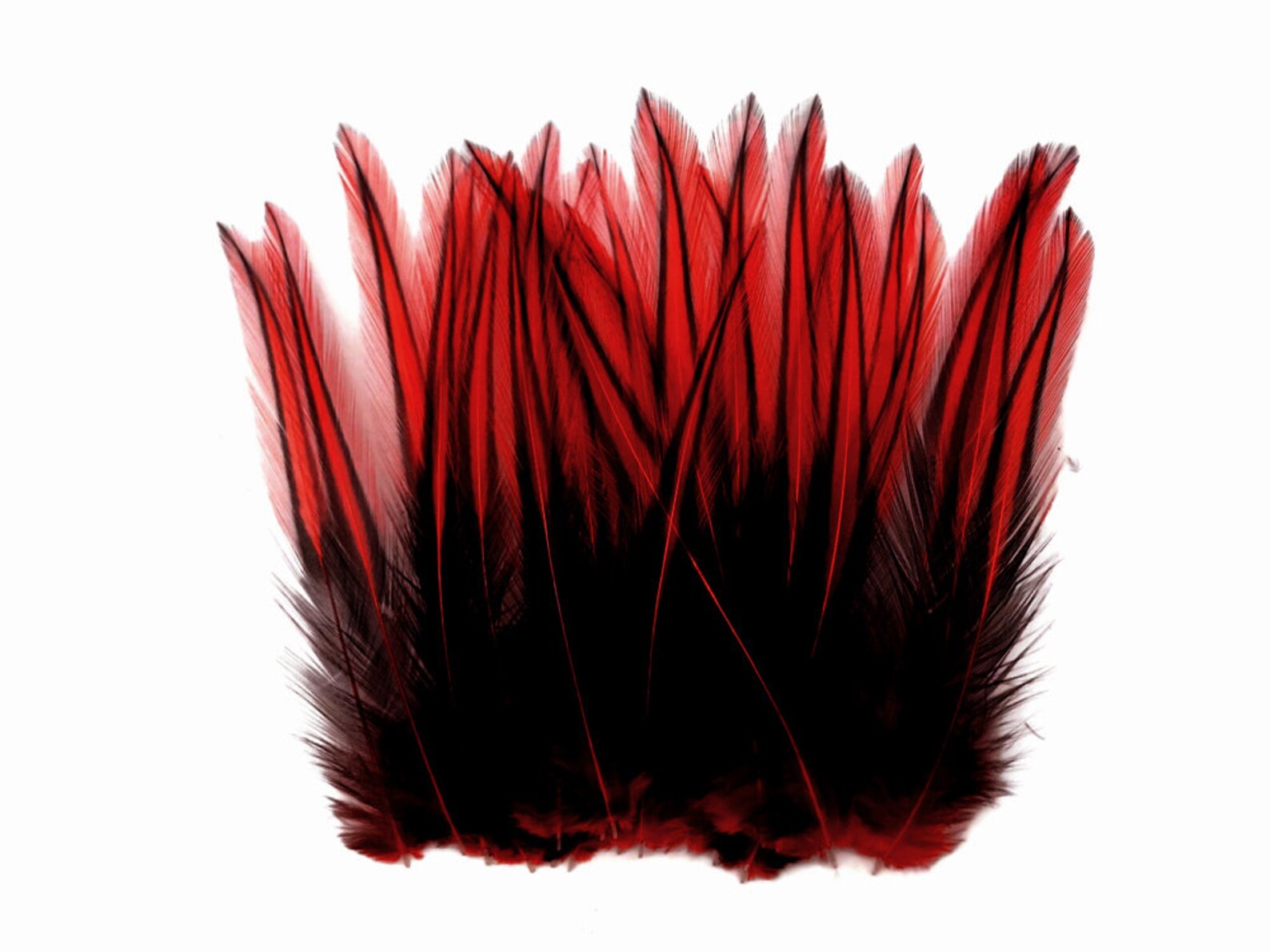 Red Laced Pointy Feathers, 10 Pieces - Red Dyed BLW Laced Long Rooster ...