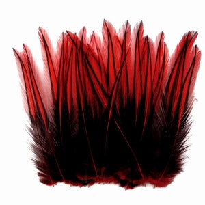 Red Laced Pointy Feathers, 10 Pieces - Red Dyed BLW Laced Long Rooster ...
