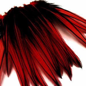 Red Laced Pointy Feathers, 10 Pieces - Red Dyed BLW Laced Long Rooster ...