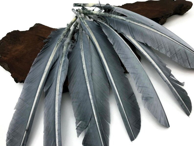 Harry Potter Feathers 6 Pieces Silver Gray Turkey Pointers - Etsy