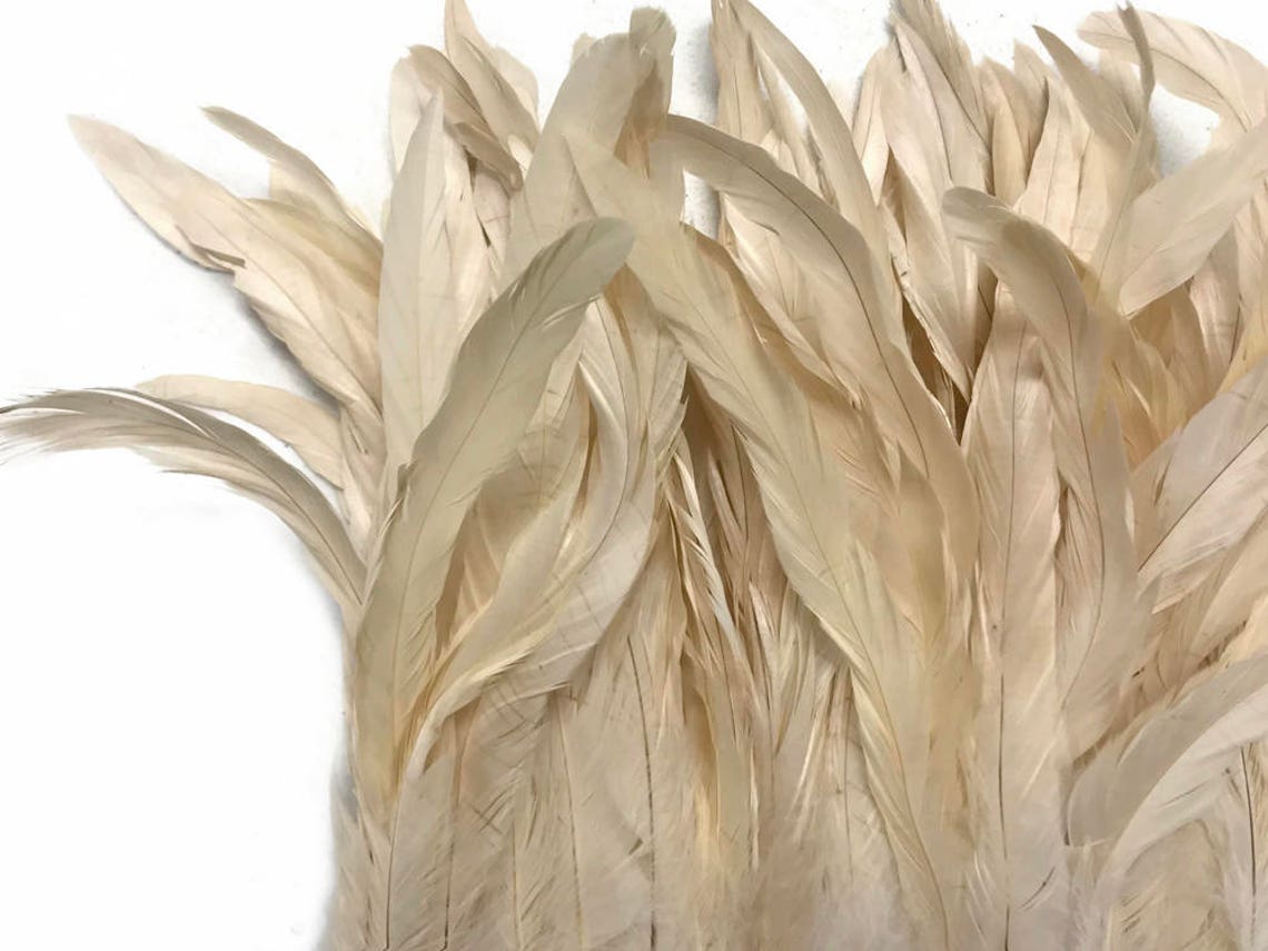 USA SELLER, 1 Yard - 10-12" Ivory Bleach & Dyed Coque Tails Long ...