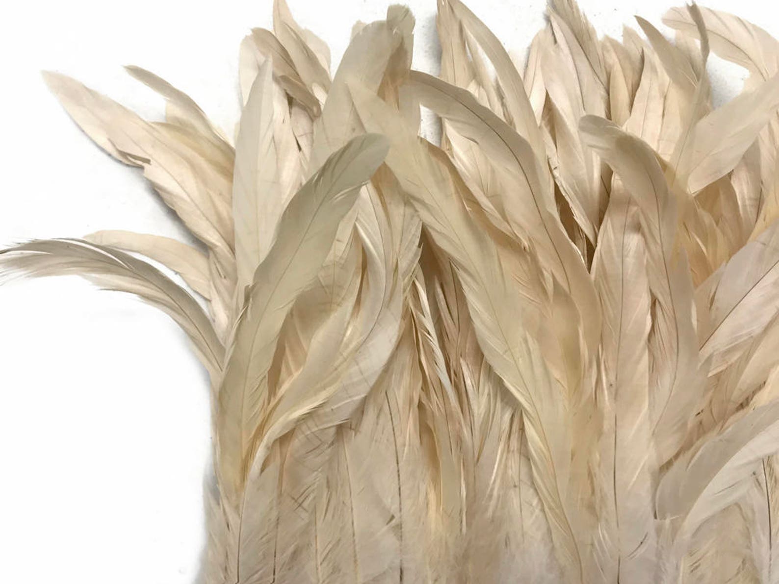 Strung Feathers 1 Yard 10-12 Ivory Bleach and Dyed | Etsy