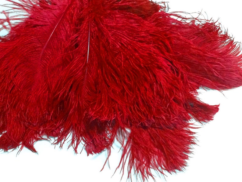 USA Feathers, 1/2 Lb - 12-16
