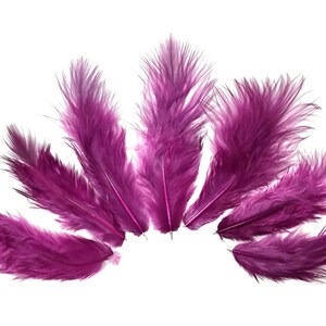 Fluffy Feathers, 1 Dozen - Solid Magenta Rooster Chickabou Fluff ...