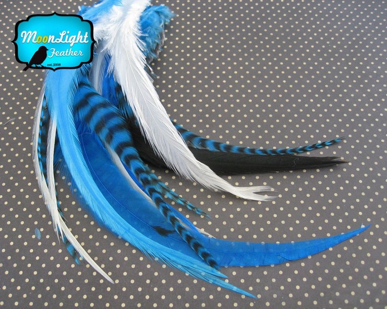 Rooster Feathers 2 Dozen Short BLUE MIX Grizzly Rooster | Etsy