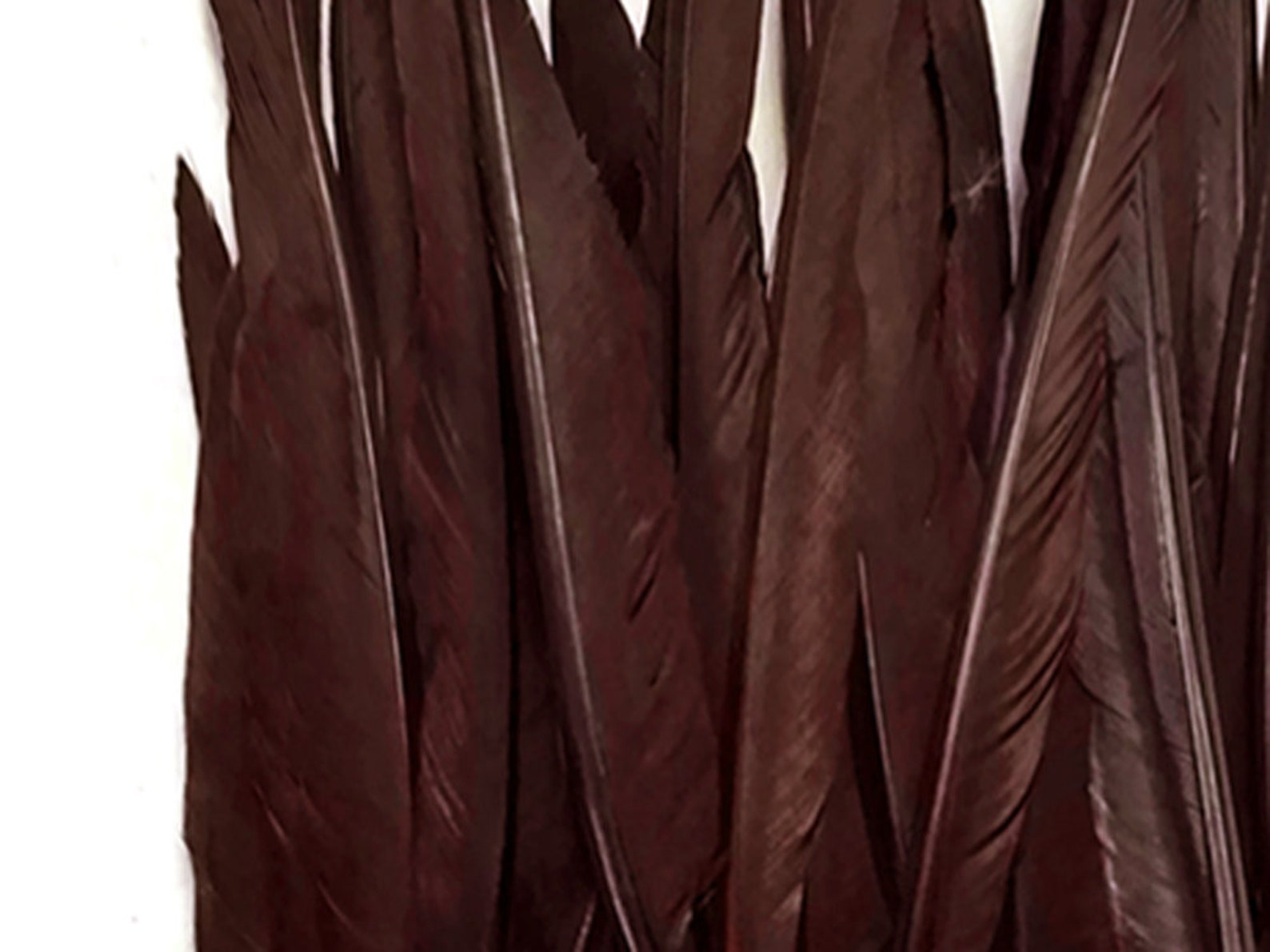 Goose Feathers 10 Pieces Brown Goose Pointers Long - Etsy