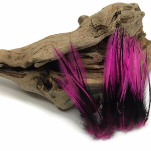 Fuchsia Laced Pointy Feathers, 10 Pieces - Hot Pink Dyed BLW Laced ...