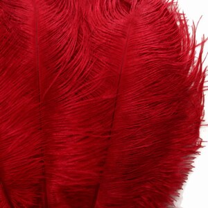 1/2 Lb. - 19-24" Red Ostrich Extra Long Drab Wholesale Feathers (bulk ...
