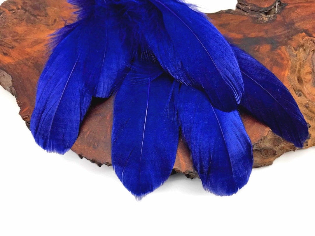 Fluffy Feathers, 1 Pack - Royal Blue Goose Nagoire Loose Feather - 0.25 ...