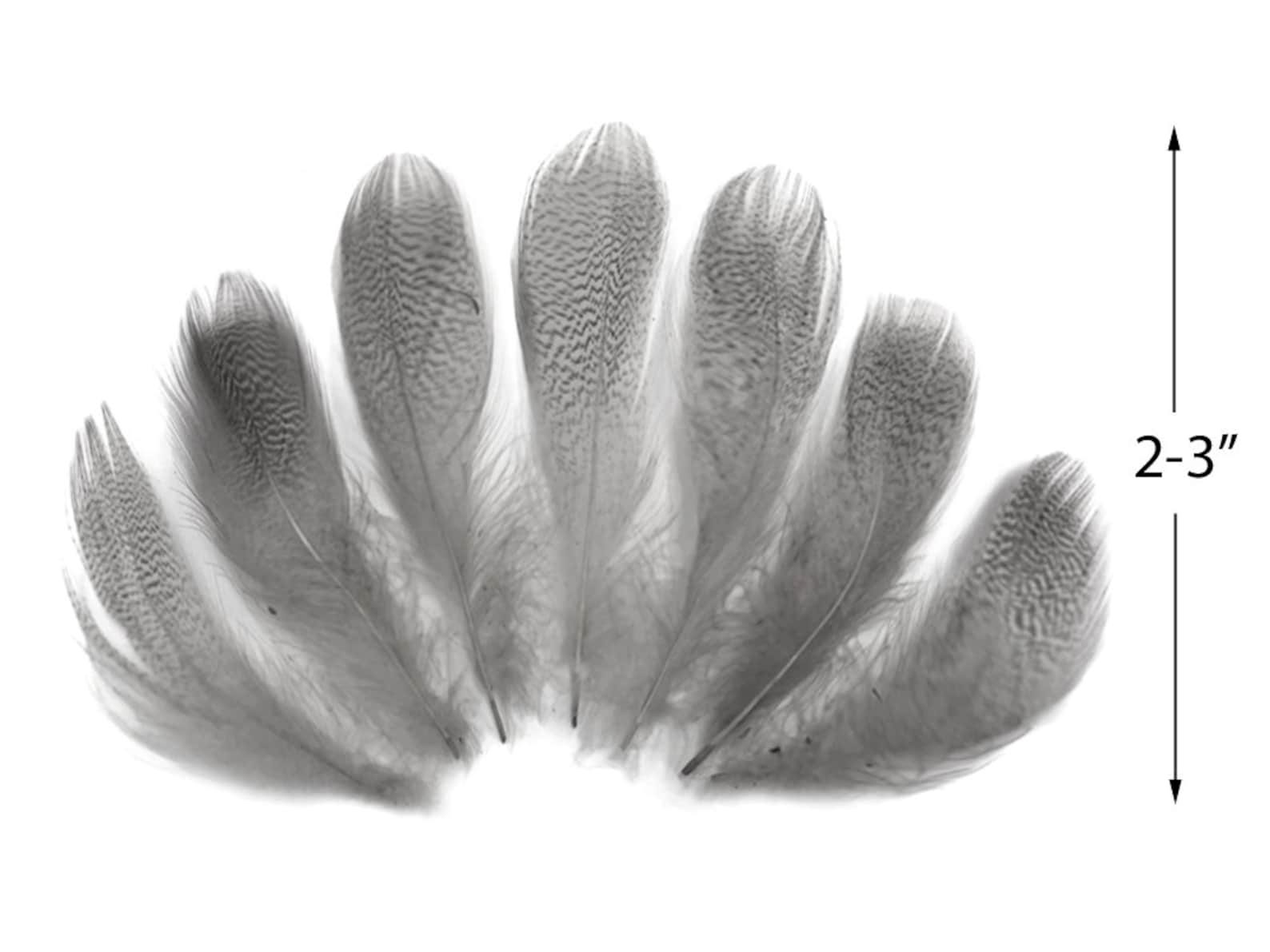 1 Pack - Platinum Grey Mallard Duck Flank Feathers 0.10 Oz. Jewelry Fly ...