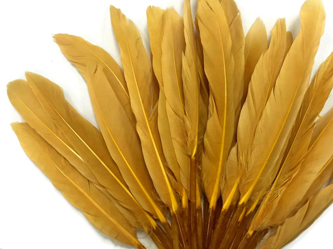 Bulk Duck Feathers, 500 Pieces Old Gold Duck Cochettes Wholesale Loose ...