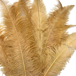 Super Long Feathers, 10 Pieces - 20-28" Antique Gold Ostrich Feather ...
