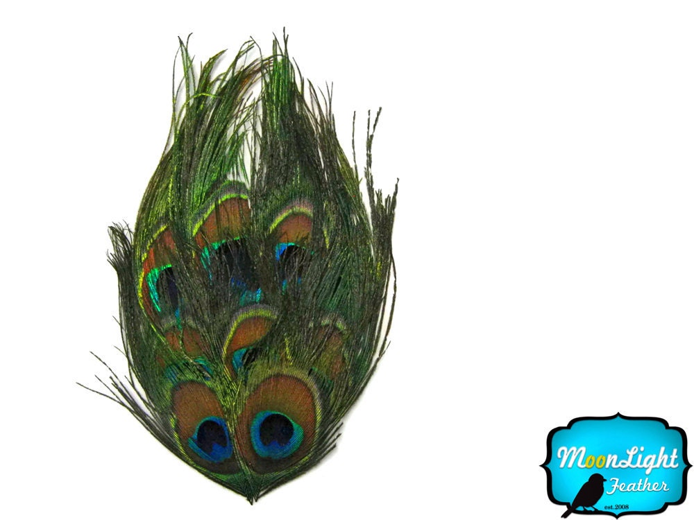 Peacock Feather Pad 1 Piece Natural Iridescent Green Uncut | Etsy