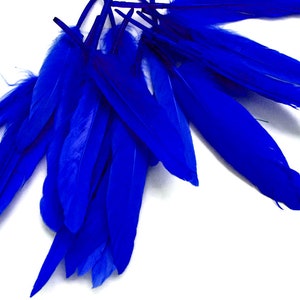 Duck Feathers, 500 Pieces - Royal Blue Duck Cochettes Wholesale Loose ...