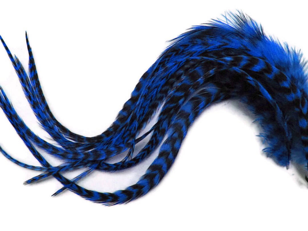 Hair Feathers, 6 Pieces - XL Royal Blue Grizzly Thick Rooster Hair ...