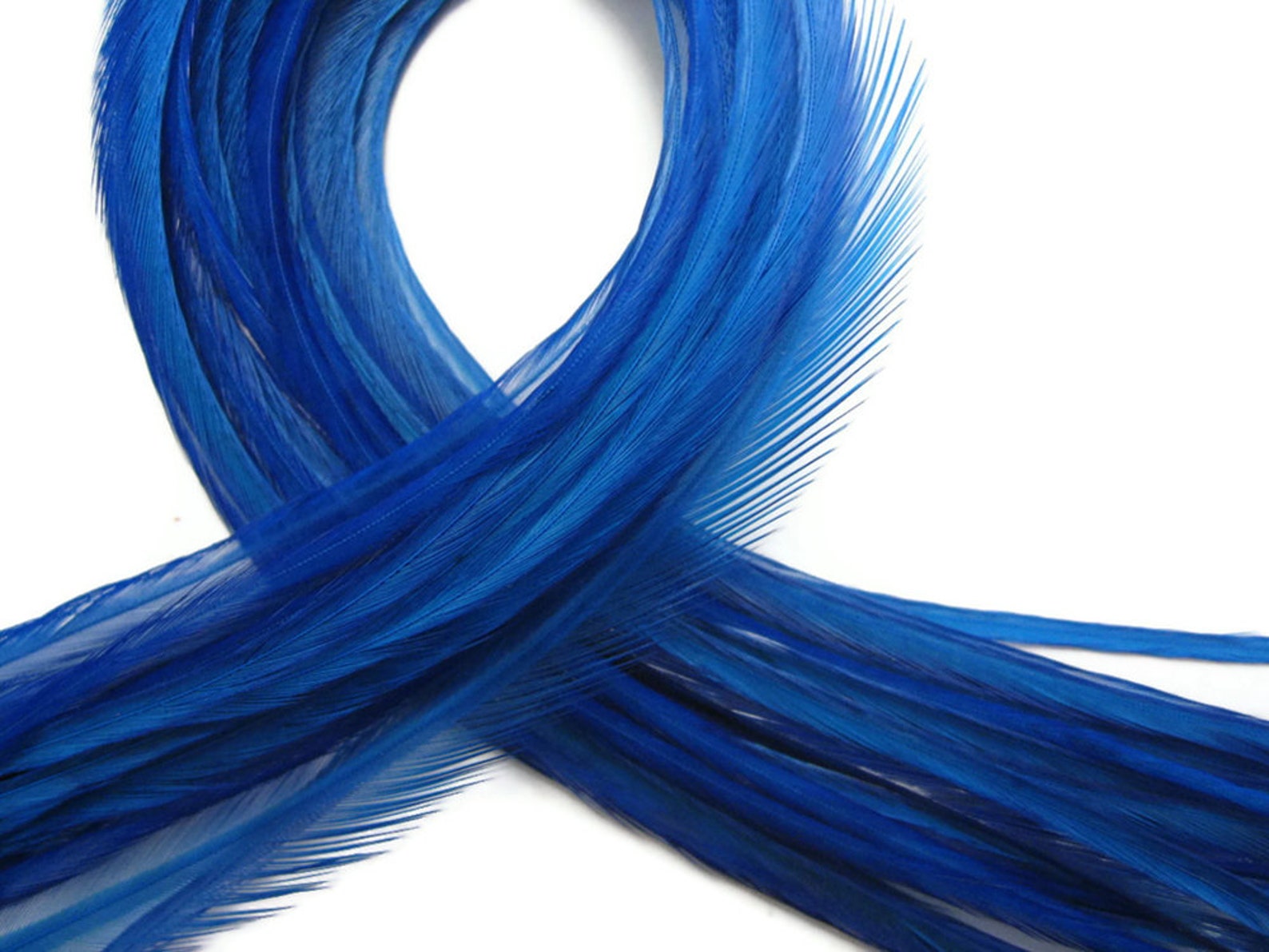 Extra Long Feathers 6 Pieces XL Solid Royal Blue Thin | Etsy