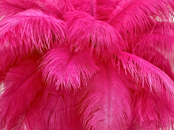 200 Feathers 9 13 Hot Pink Ostrich Drab Body Plumage Wholesale Feathers bulk Party Centerpiece 567 D Etsy UK