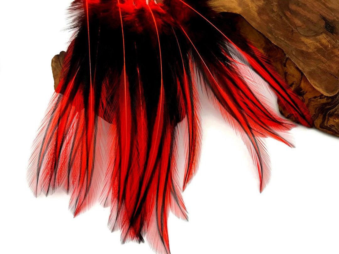 Red Laced Pointy Feathers, 10 Pieces - Red Dyed BLW Laced Long Rooster ...