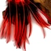 Red Laced Pointy Feathers, 10 Pieces - Red Dyed BLW Laced Long Rooster ...
