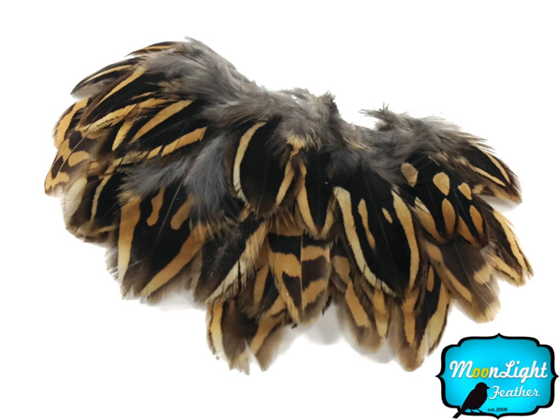 Chukar Feathers, 10 Pieces - NATURAL BROWN Partridge Small Plumage ...