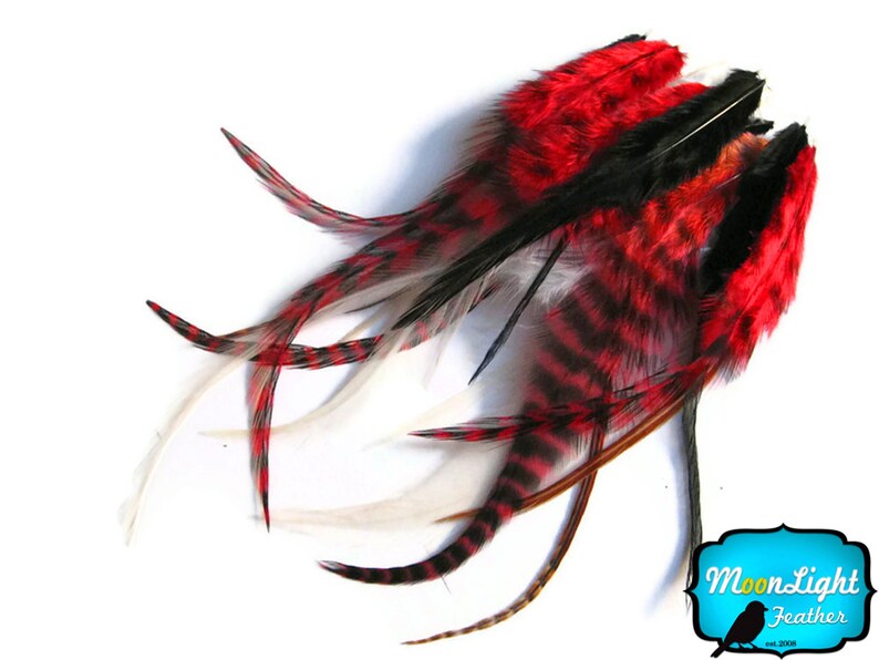 Hair Feathers 1 Dozen RED MIX Short Grizzly Rooster Hair - Etsy