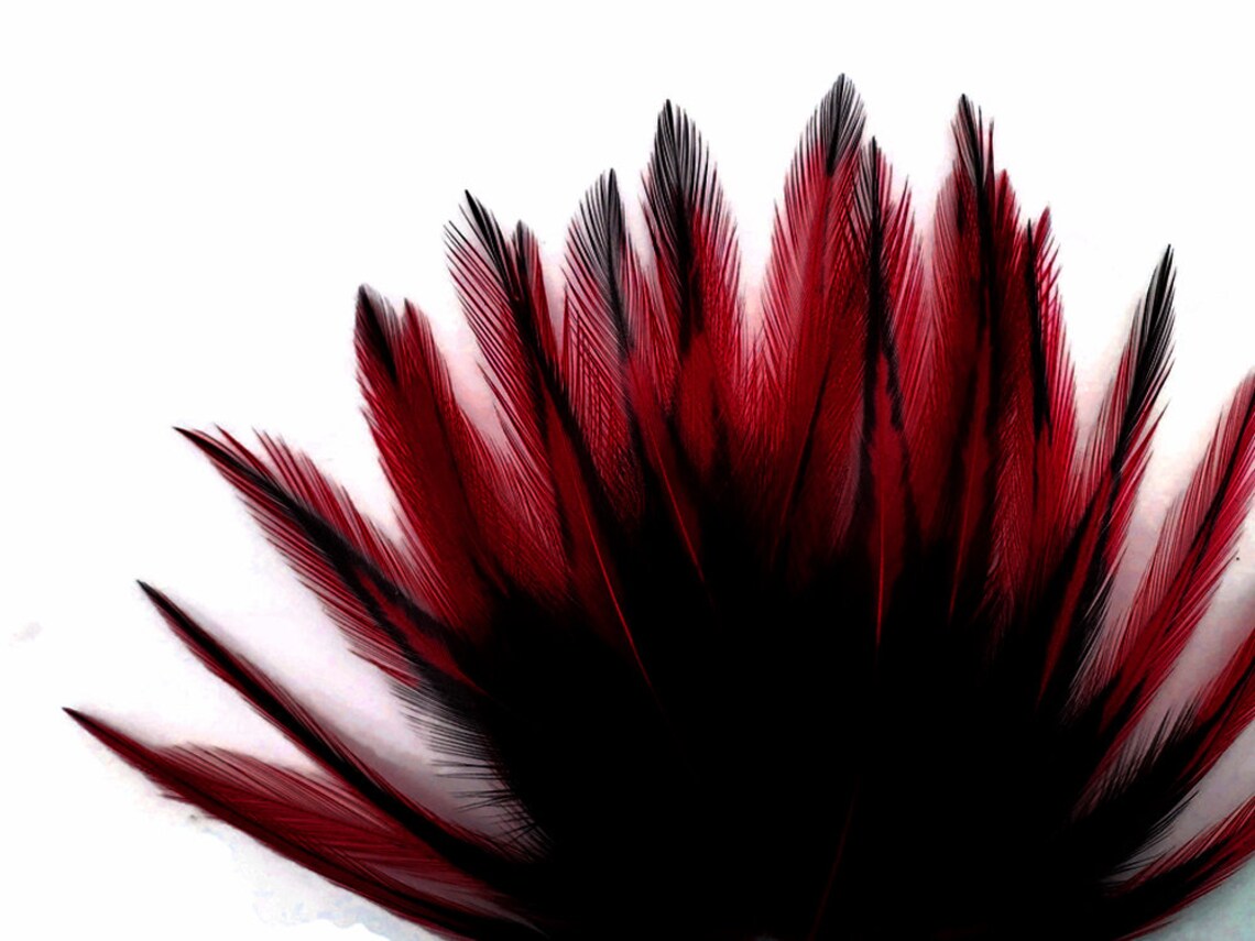 Red Laced Pointy Feathers, 10 Pieces - Claret Dyed BLW Laced Short ...