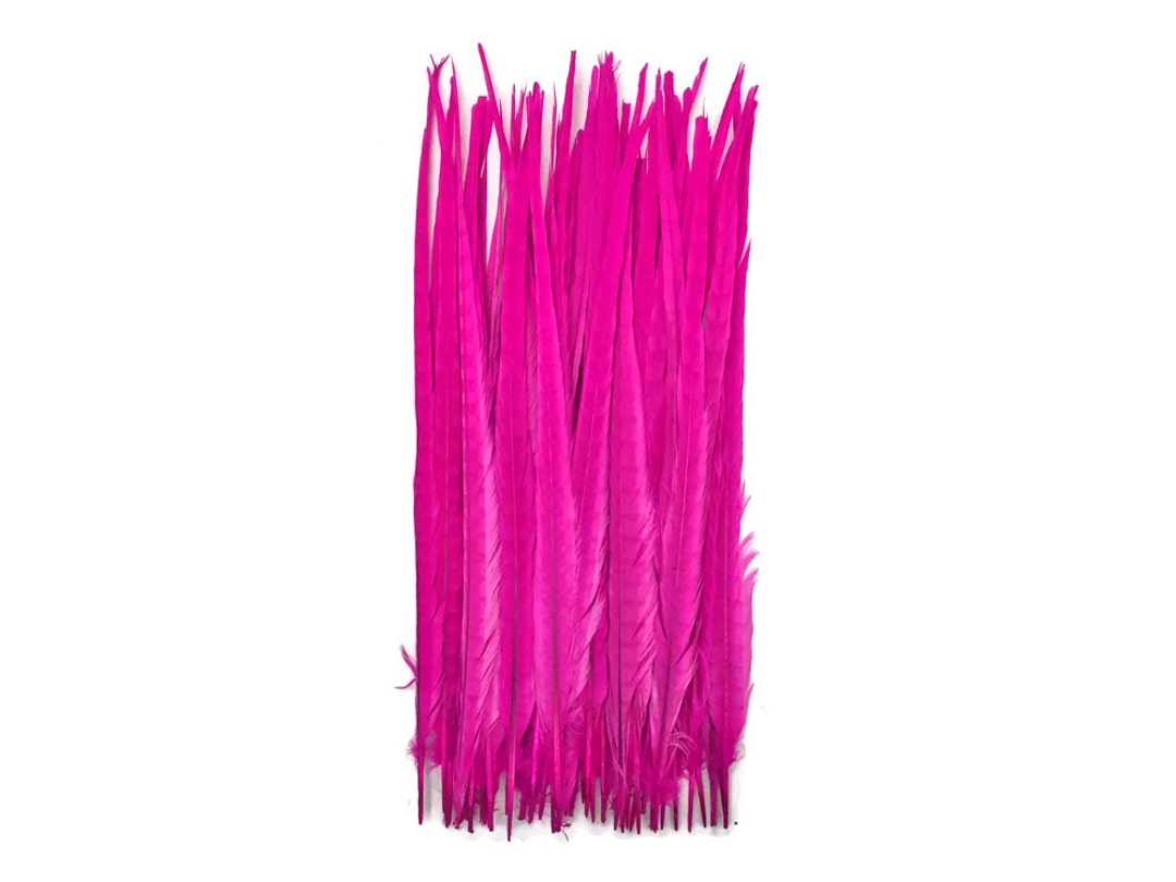 50 Pieces - 18-22" Hot Pink Bleached and Dyed Long Ringneck Pheasant ...