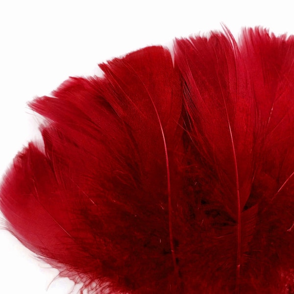 Red Feathers - Etsy