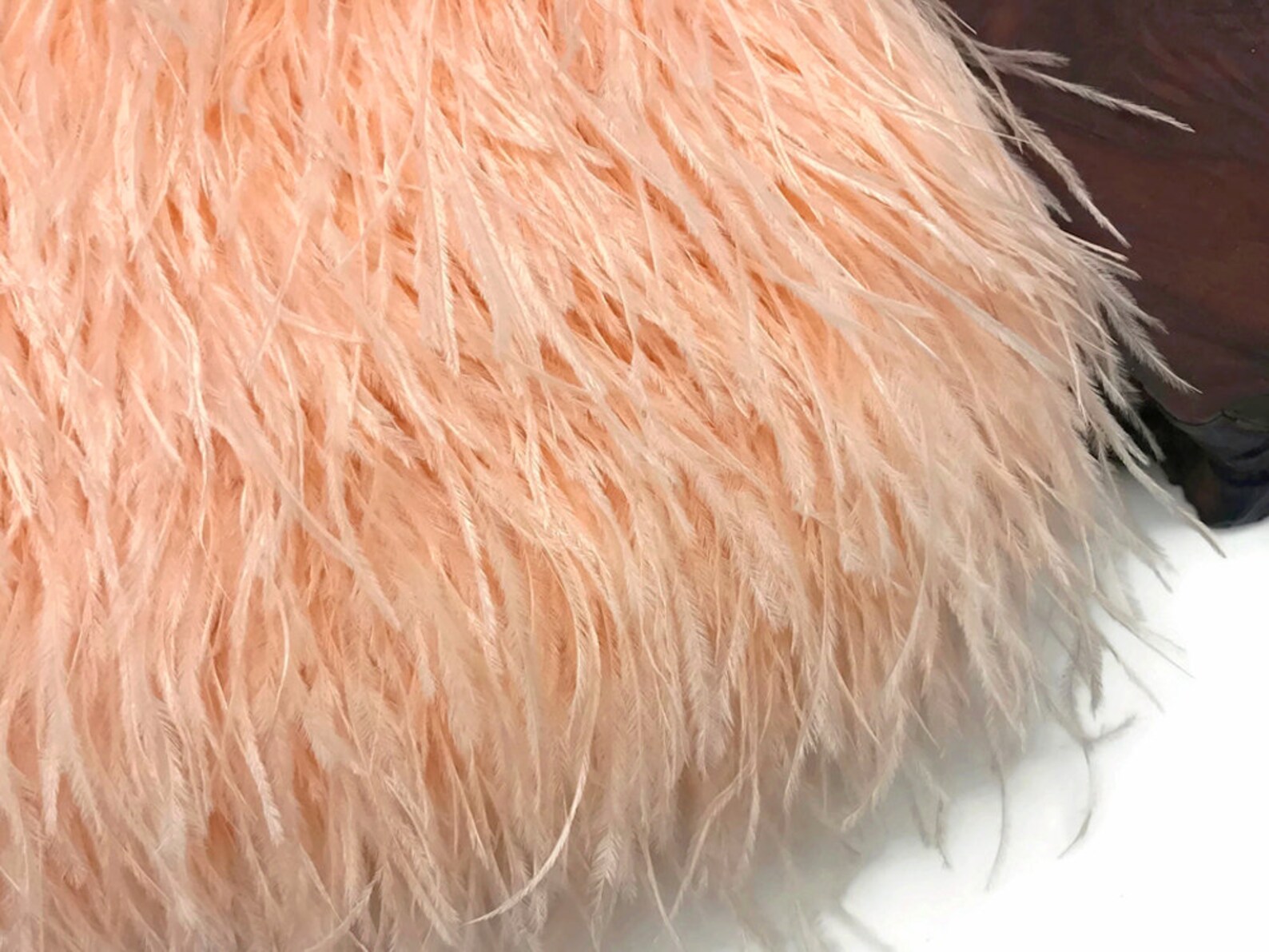 Champagne Ostrich Feathers 6 Inch Strip Champagne Ostrich | Etsy