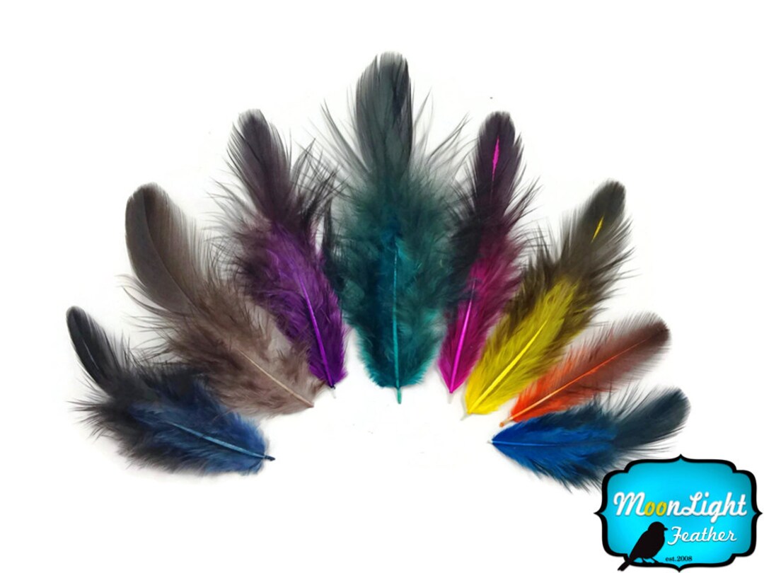 Rooster Feathers, 1 Pack - COLORFUL Mix Hen Saddle Half Bronze Feathers ...