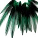 Raindrop Feathers, 10 Pieces - Peacock Green Dyed BLW Laced Short ...