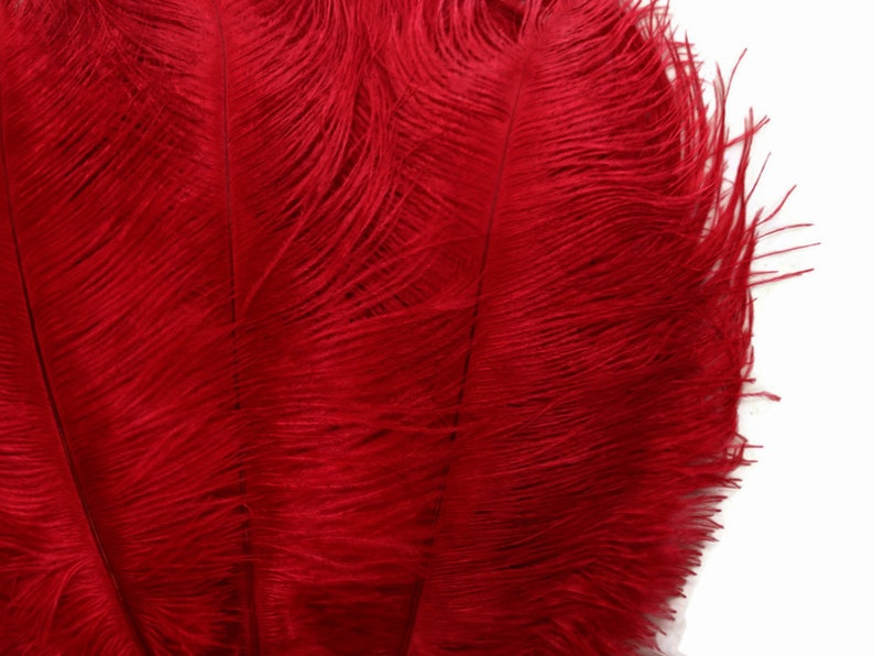 Large Ostrich Feathers 10 Pieces 17-19 Red Large - Etsy