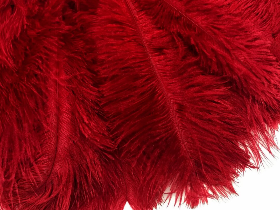 Ostrich Feathers, 10 Pieces - 8-10