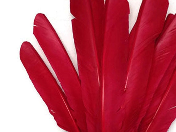 Turkey Quill Feathers 1/4 lb RED Turkey Pointers Quill | Etsy