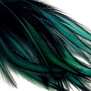 Raindrop Feathers, 10 Pieces - Peacock Green Dyed BLW Laced Short ...