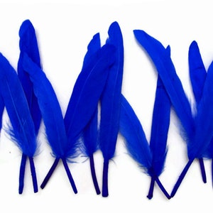 Duck Feathers, 500 Pieces - Royal Blue Duck Cochettes Wholesale Loose ...