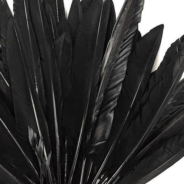 Large Feathers - Etsy