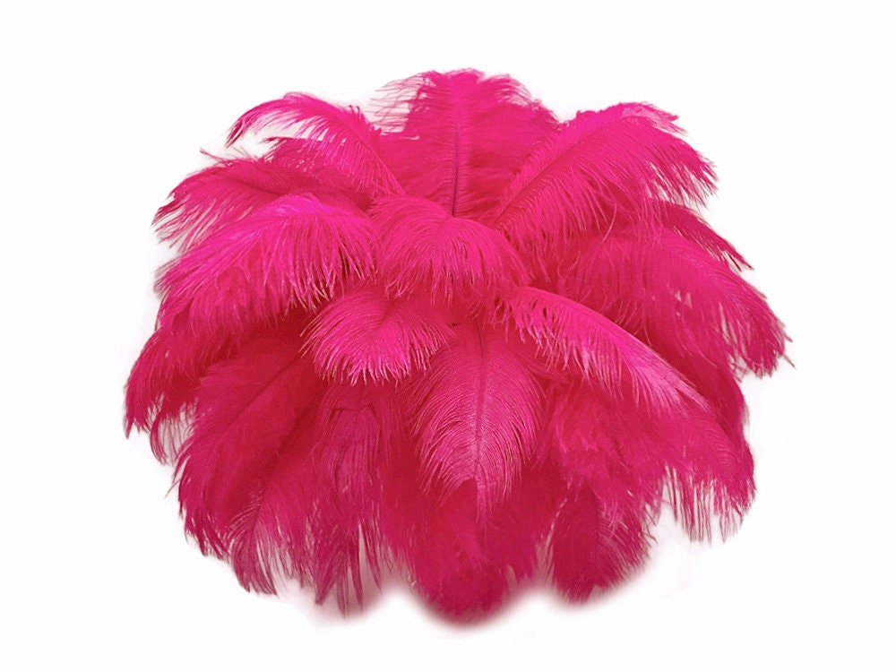 USA Feathers 10 Pieces 6-8 Hot Pink Ostrich Dyed | Etsy