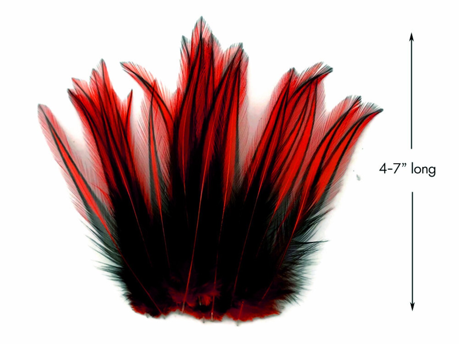 Red Laced Pointy Feathers, 10 Pieces - Red Dyed BLW Laced Long Rooster ...