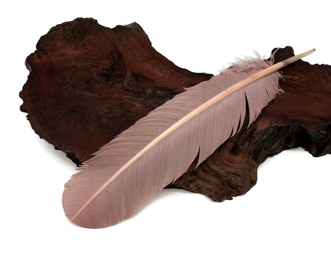 Eagle Feathers, 6 Pieces Brown Tipped imitation Eagle Turkey Tom Rounds ...