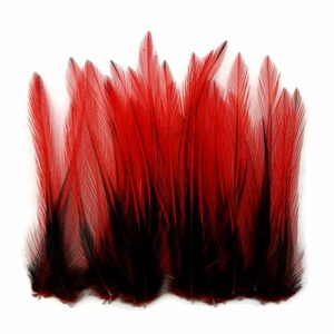 Red Laced Pointy Feathers, 10 Pieces - Red Dyed BLW Laced Short Rooster ...