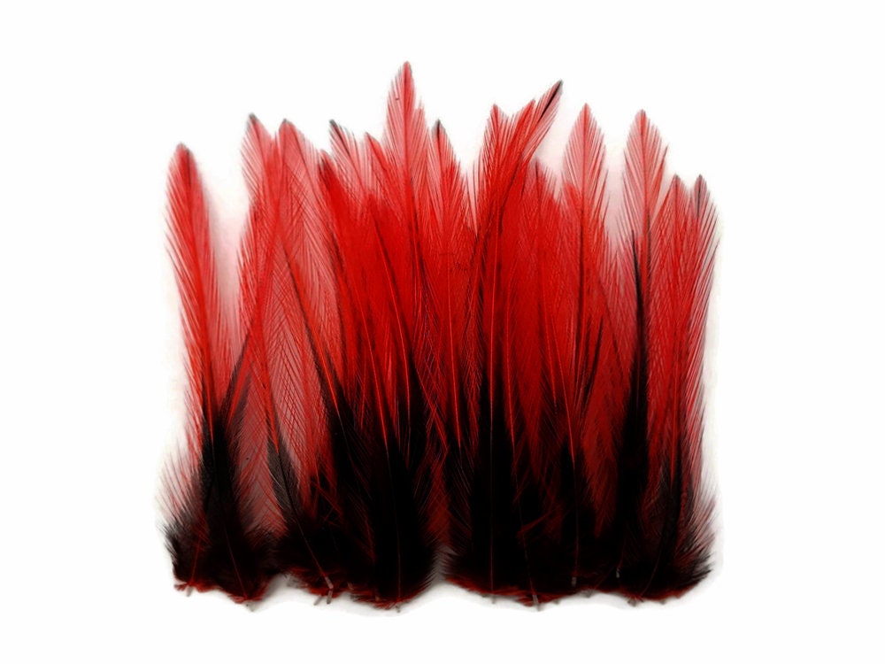 Red Laced Pointy Feathers, 10 Pieces - Red Dyed BLW Laced Short Rooster ...
