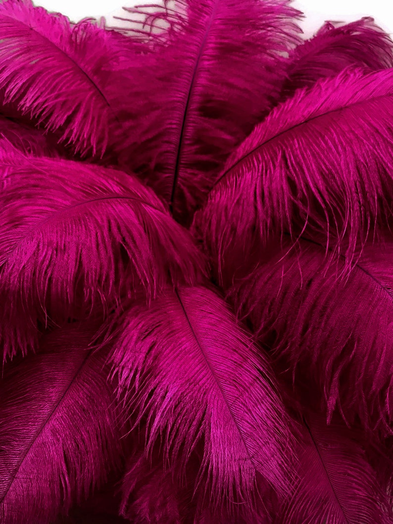 USA Feathers, 10 Pieces - 14-17" Magenta Ostrich Dyed Drab Large Body ...